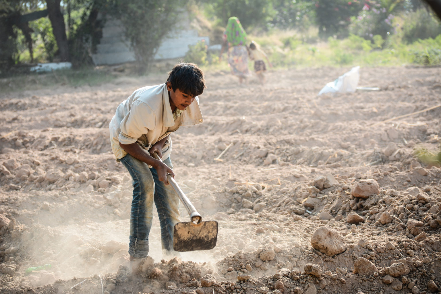 Kinderarbeit in der Landwirtschaft: eine gefährliche, aber weltweit verbreitete Praxis - Humanium