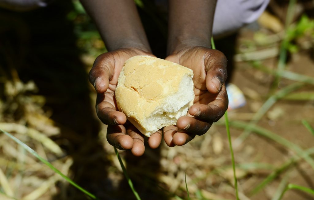Food: Undernourishment and malnutrition - Humanium