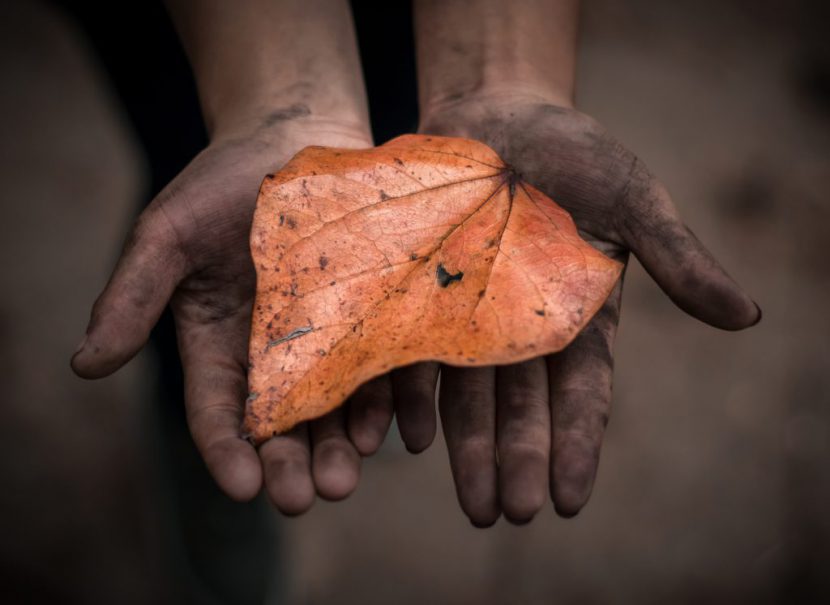 Exploitation - Humanium