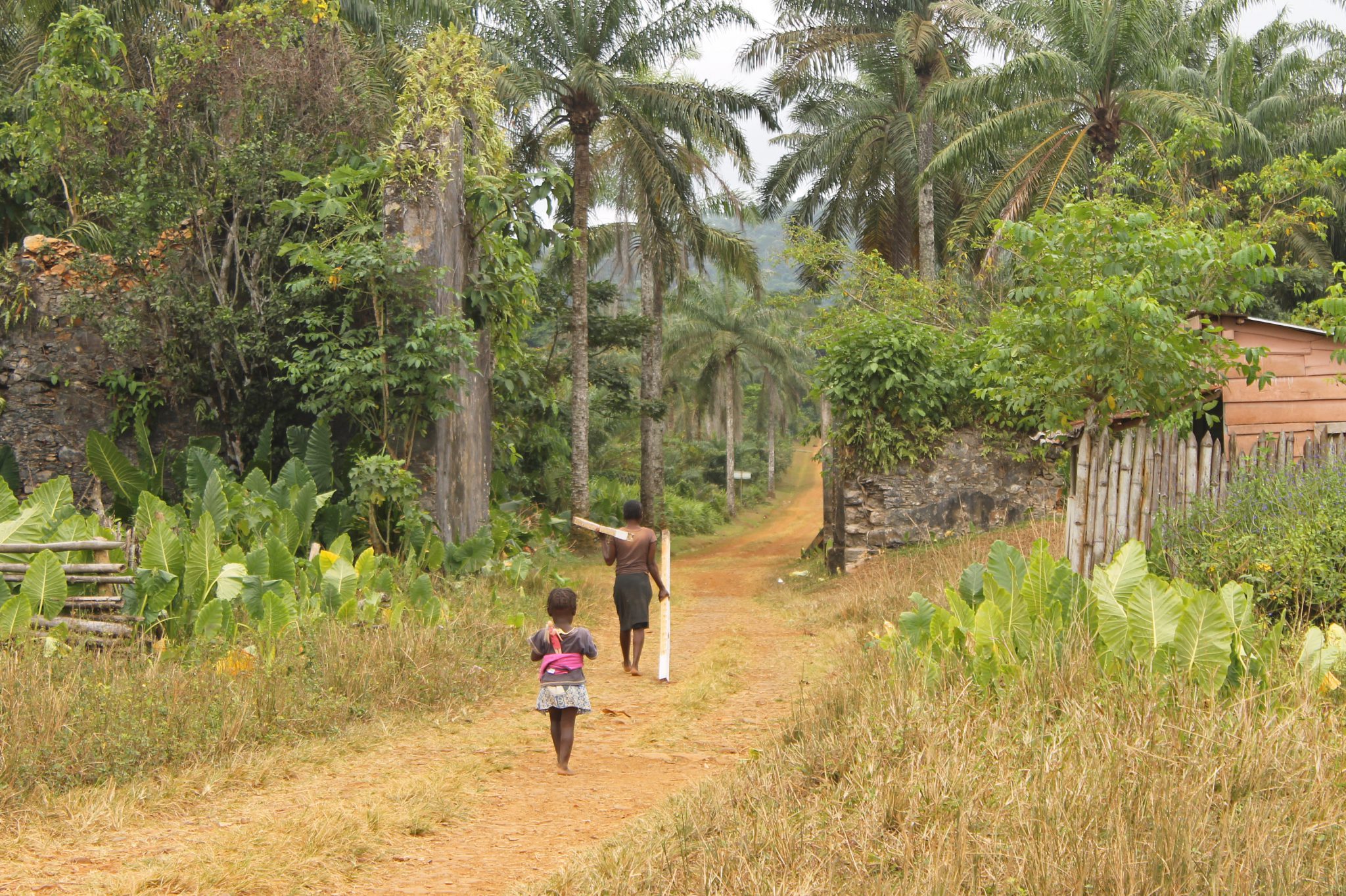 Children of São Tomé and Príncipe - Humanium