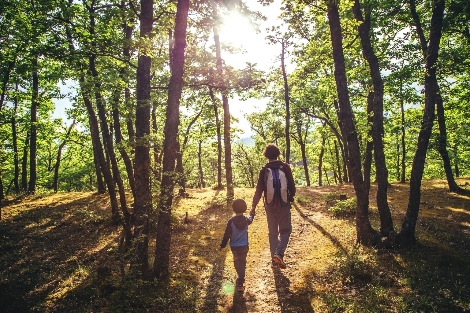 The right to a healthy environment is a fundamental human right: the UN ...