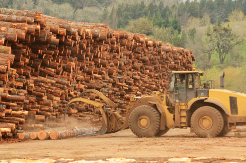 Large,Wheeled,Front,End,Log,Loader,Working,The,Log,Yard - Humanium