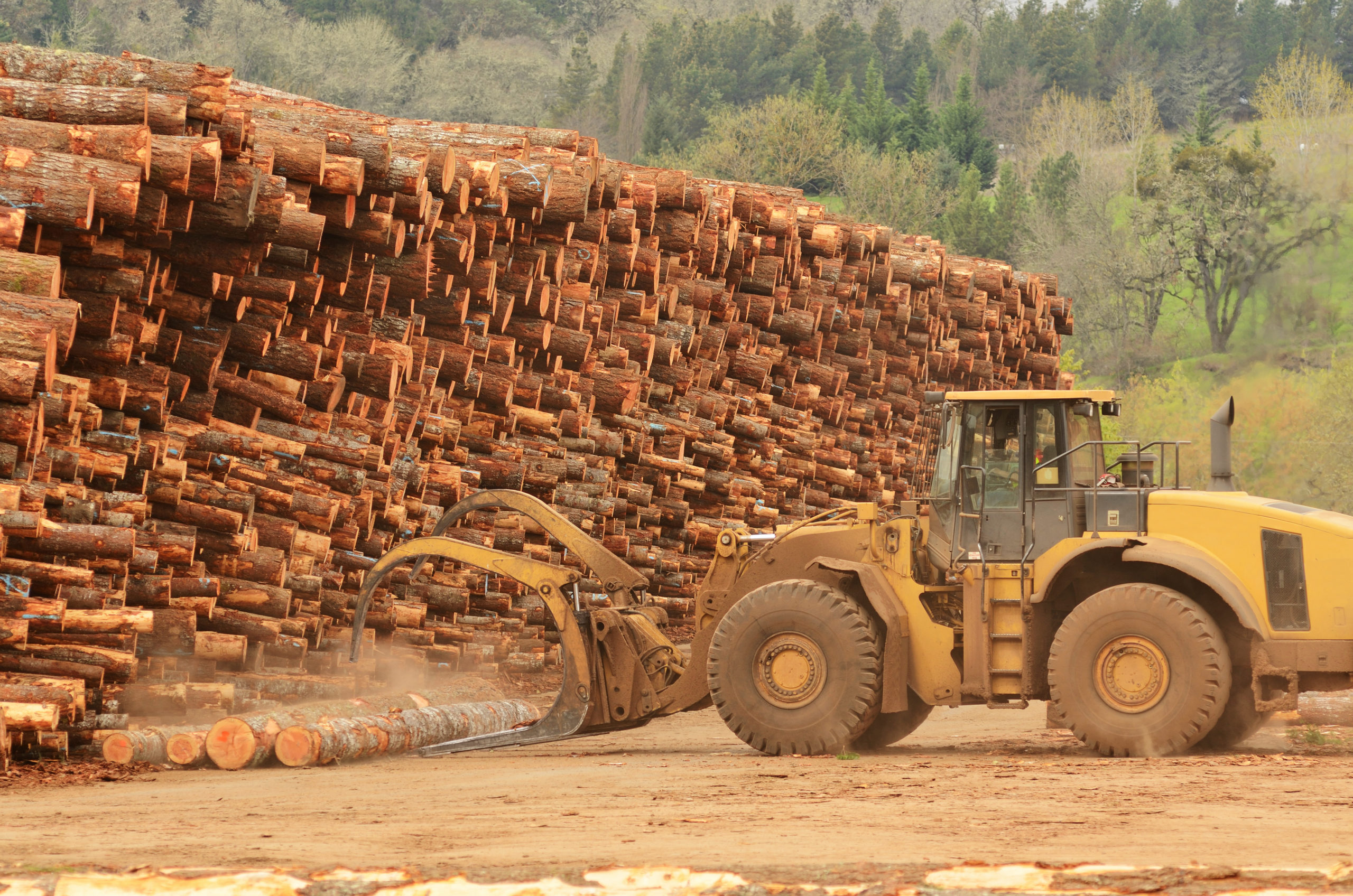 Large,Wheeled,Front,End,Log,Loader,Working,The,Log,Yard - Humanium