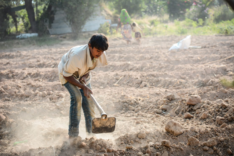Child labour in agriculture: a hazardous but common practice worldwide ...