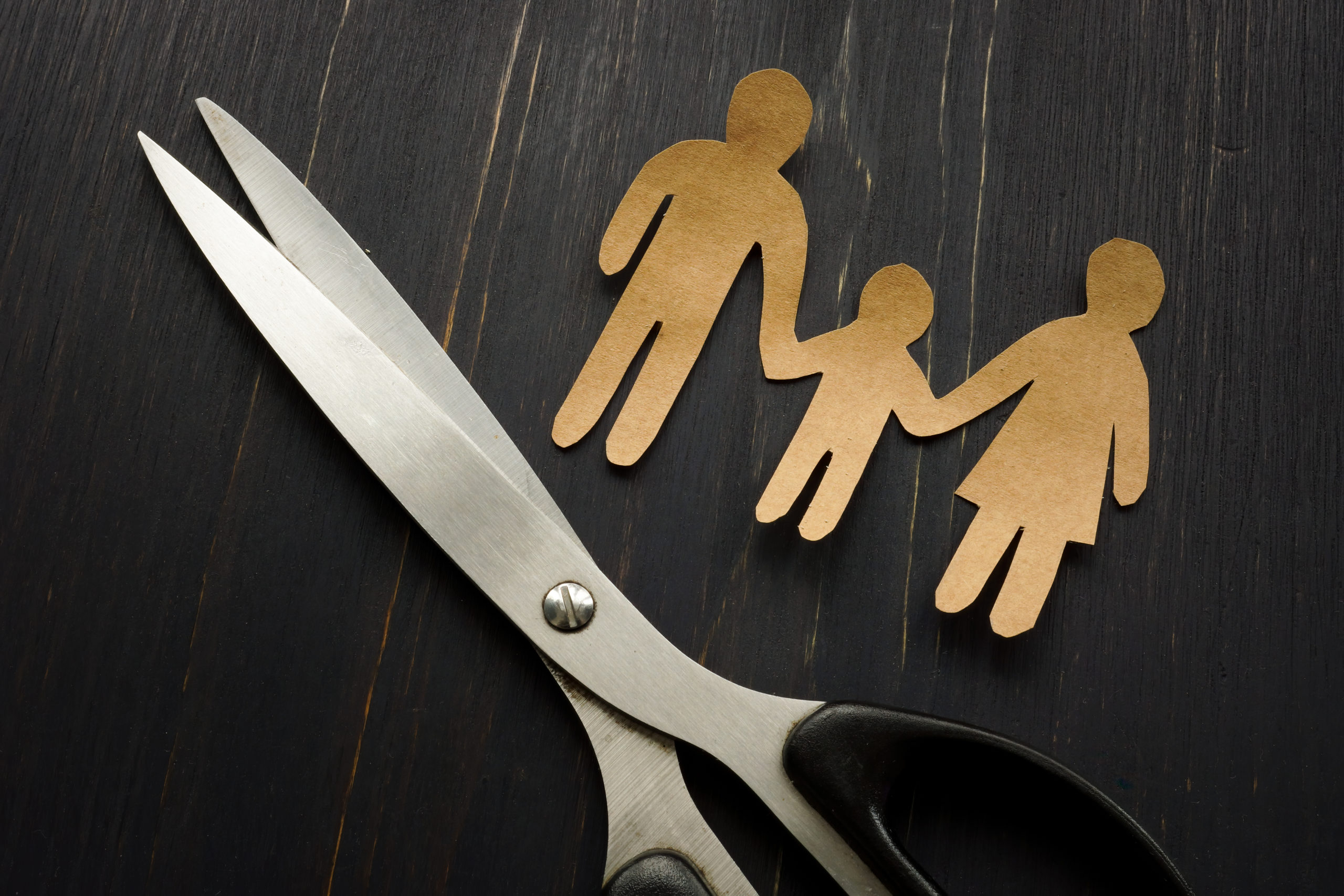 The impact of ‘parental alienation’ on the best interests of the child ...