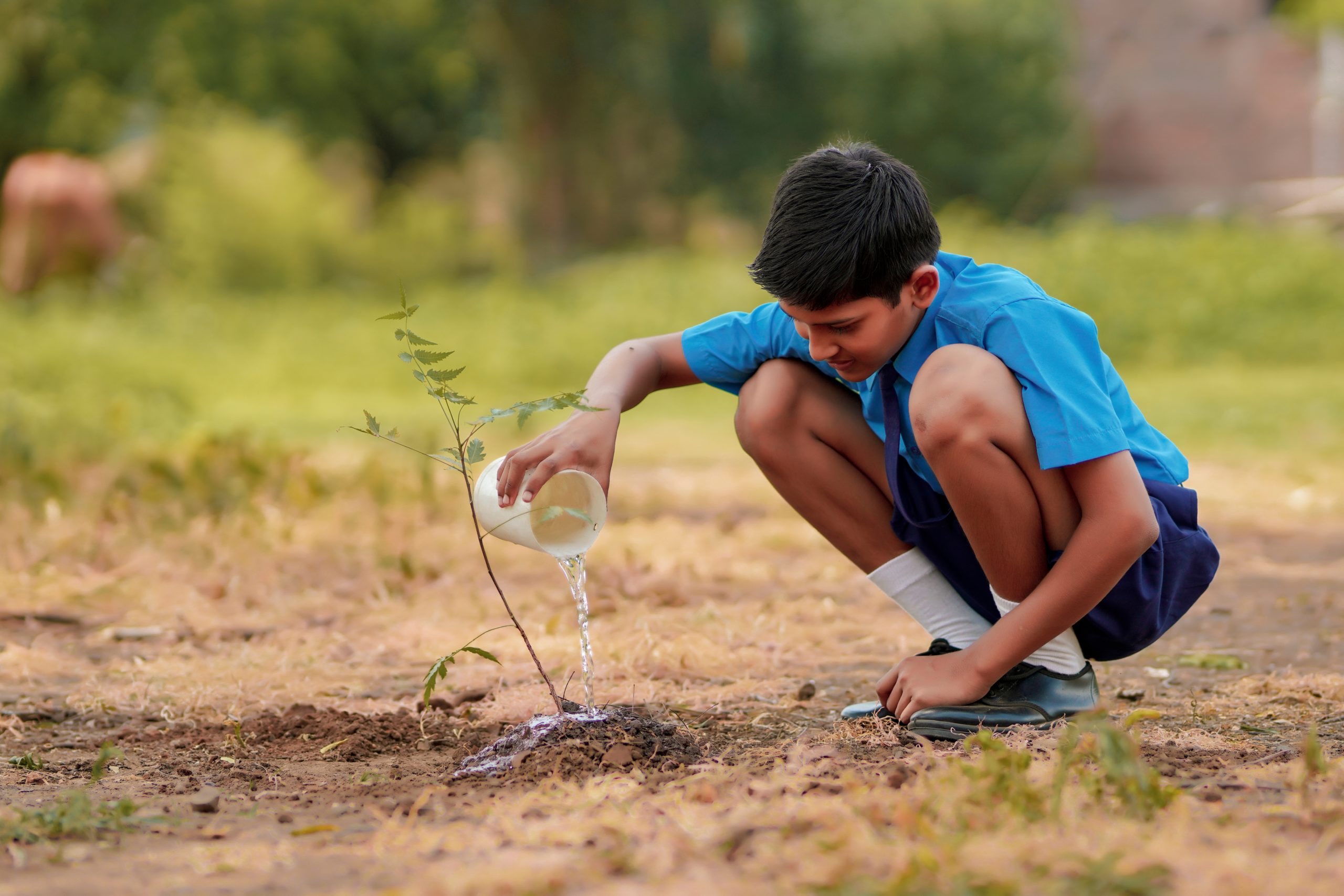 Indian,School,Child,Doing,Tree,Plantation. - Humanium