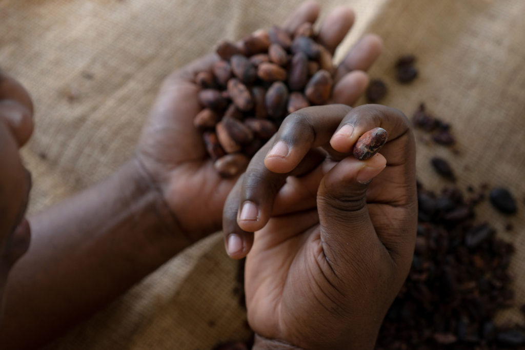 The dark side of chocolate: child labour in the cocoa industry - Humanium