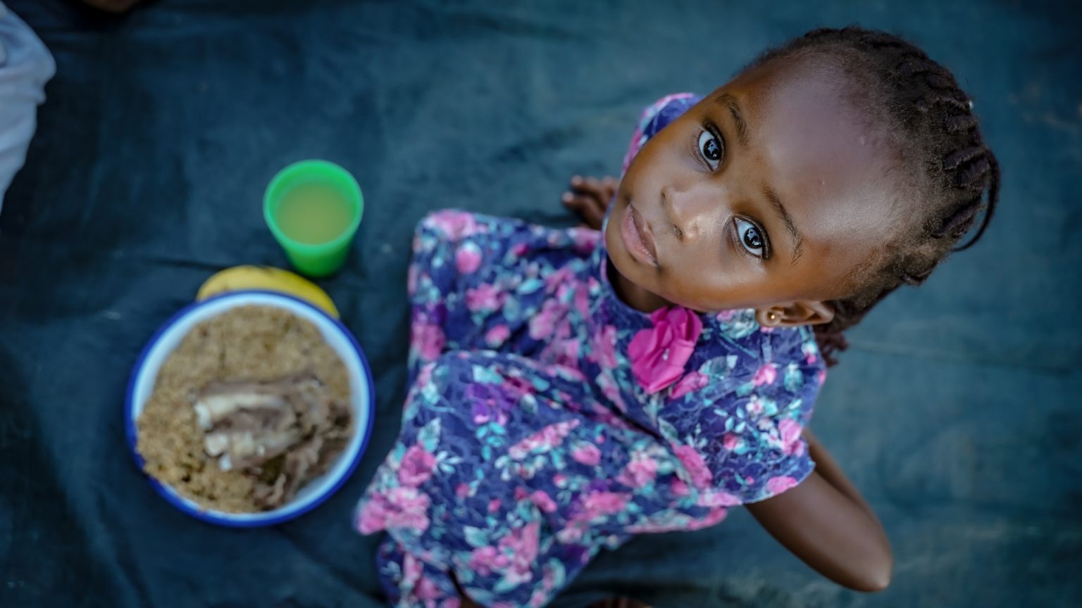 Right to food - Humanium