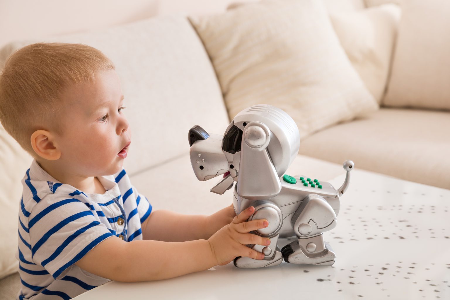 Adorable,Toddler,Boy,Playing,With,Interactive,Toy.,Child,With,Toy ...