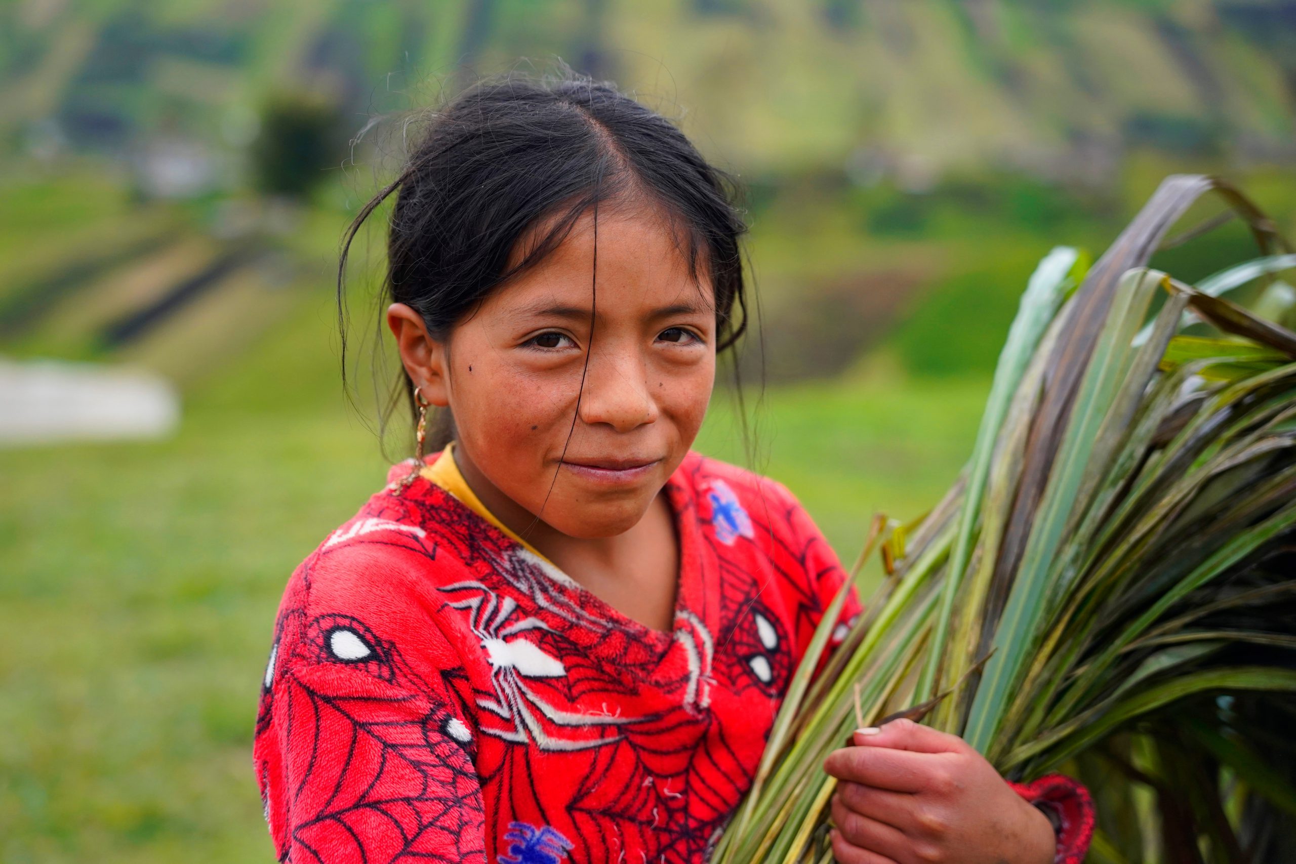 Indigenous,Girl,With,Native,Ecuadorian,Clothing,From,The,Andean,Zone ...